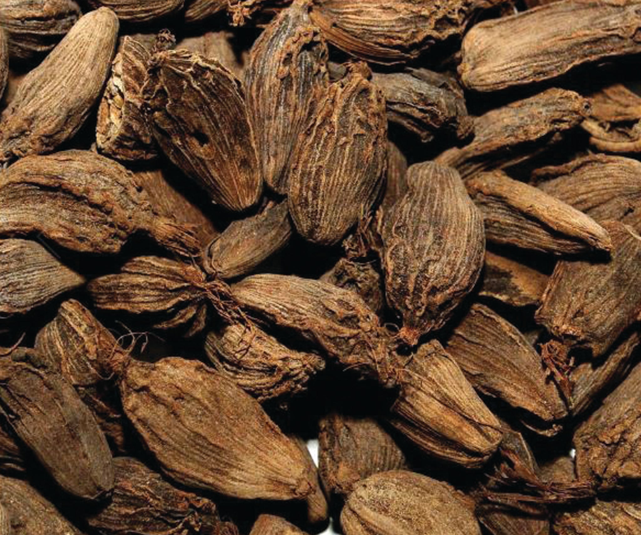 Black Cardamom In Telugu
