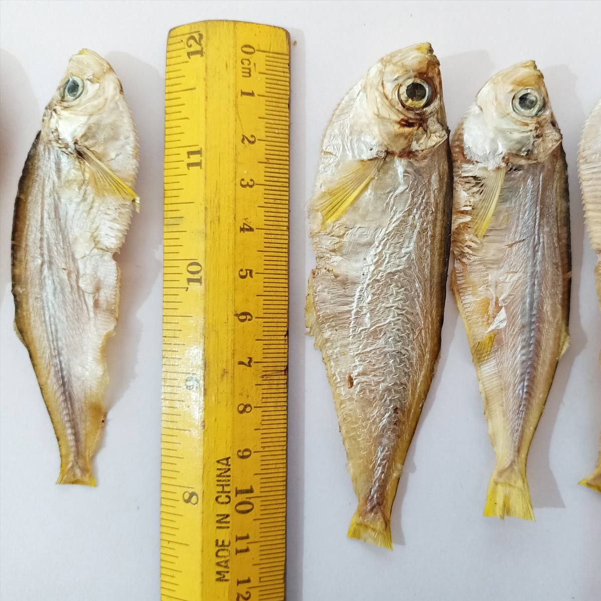 Dried Thada Fish (Raconda) – MyVillageShop.com